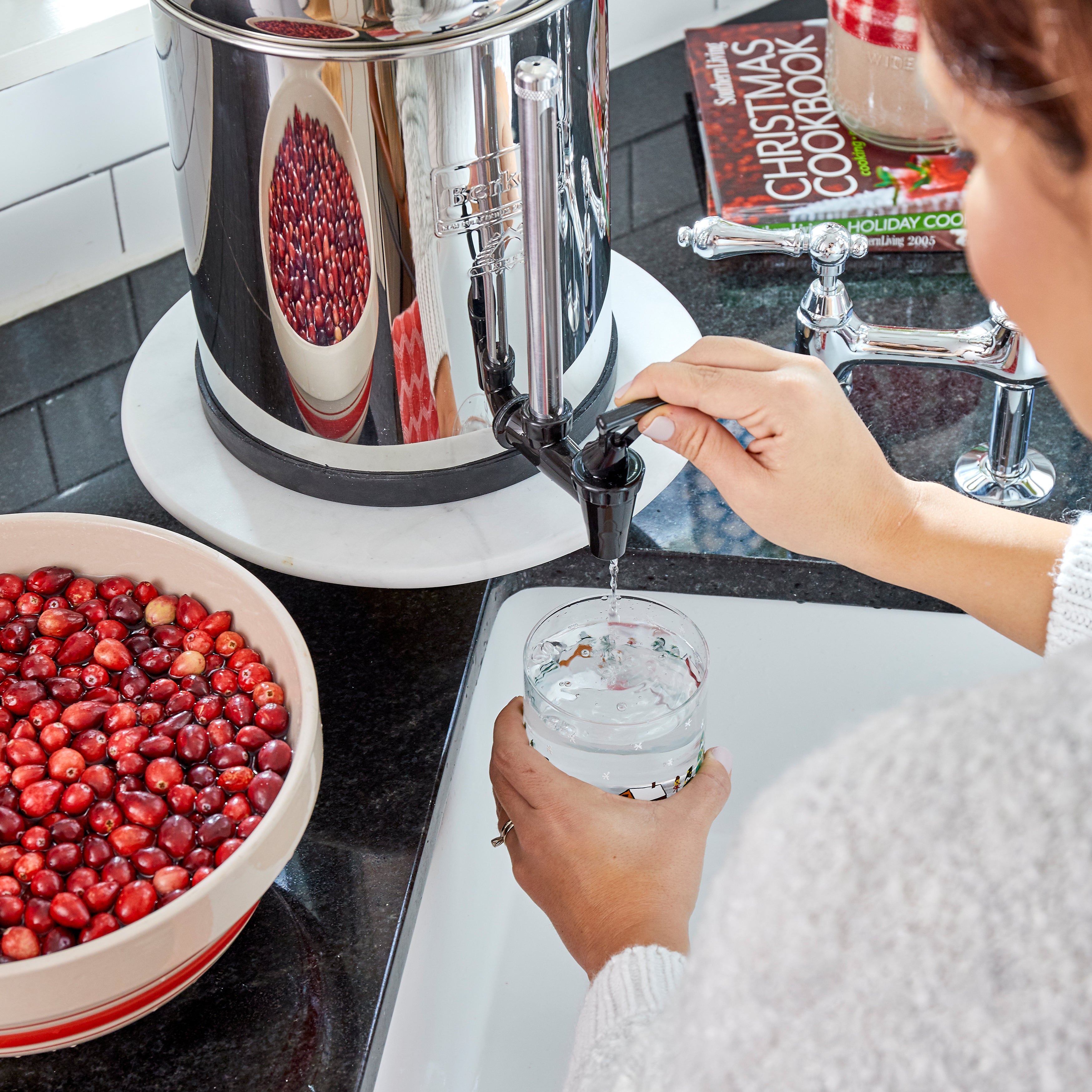 Purifiers – Berkey